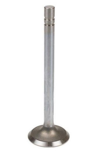 R90692: Valve, Exhaust | Novi Group