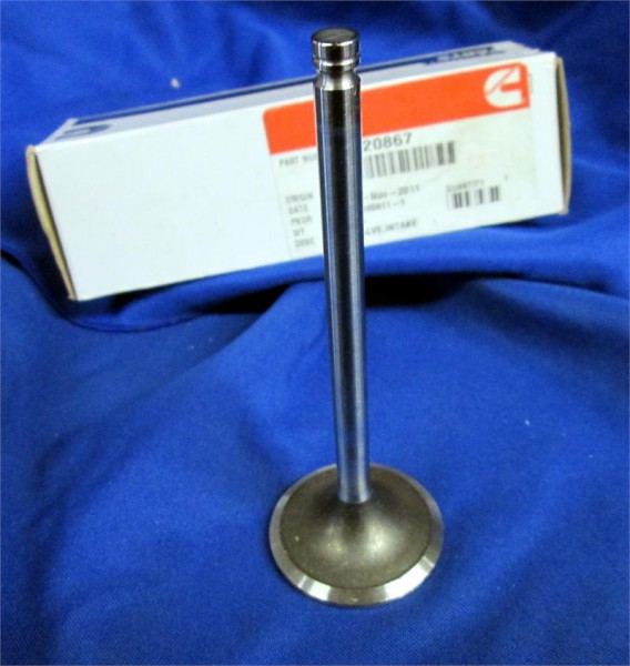 3920867: VALVE,INTAKE | Novi Group