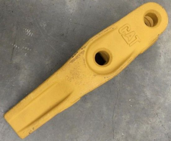 1U-1857: Tooth | Novi Group