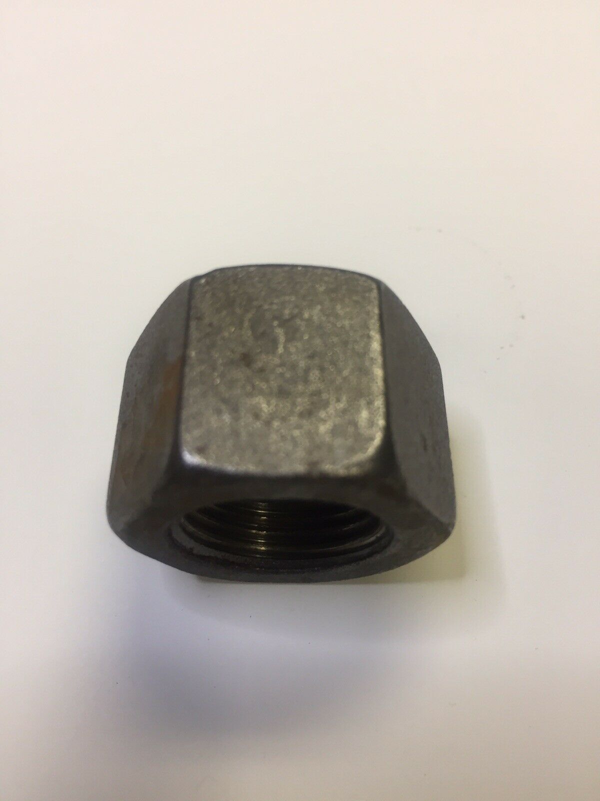 7H-3608: NUT | Novi Group